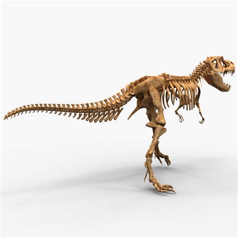 Dinozor T Rex Kemikleri 2 3D Model 99 Lwo Obj Max C4d 3ds Ma