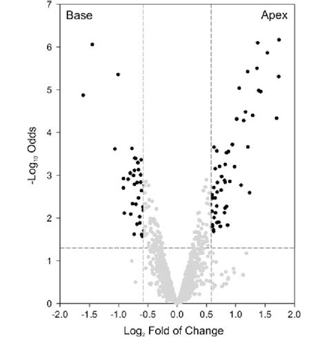 graphical representation of the microarray data analysis microarray download scientific