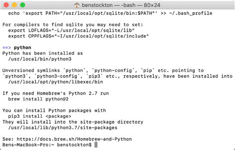如何为 python 软件包安装 python pip