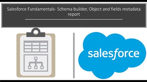 salesforce fundamentals schema builder object and fields metadata report learnwithme youtube
