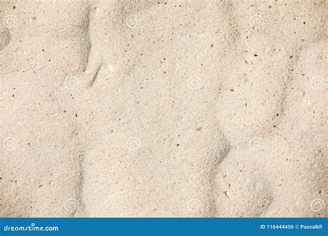 Sand Texture Sandy Beach For Background Top View Stock Photo Image
