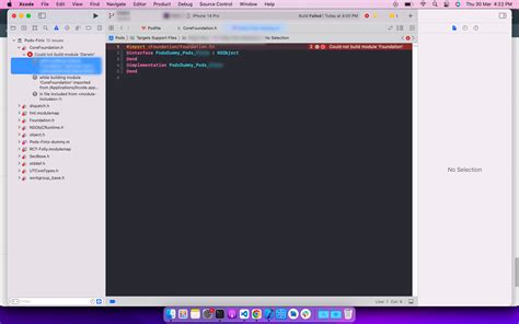 How To Fix React Native App Running Problem In IOS With Firebase