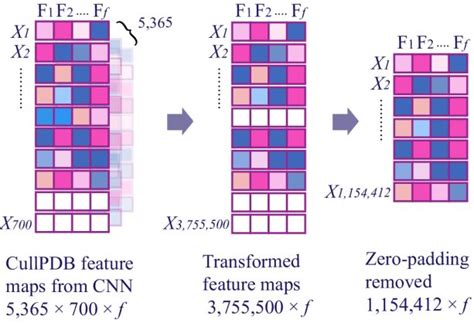 predicting secondary structure of protein using hybrid of convolutional neural network and