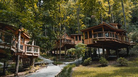 Gallery Treehouse Grove At Norton Creek Gatlinburg Tn