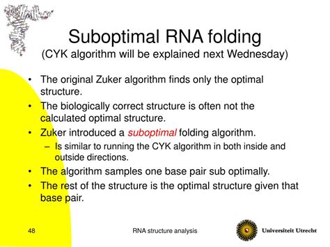 cpugpu hybrid accelerating the zuker algorithm for rna