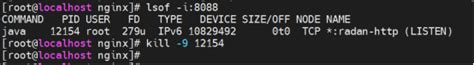 nginx报错nginx error invalid PID number in var run nginx pid 解决