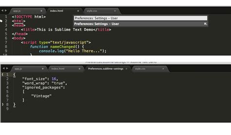 Sublime Text Plugins Tips And Settings Smooth Programming