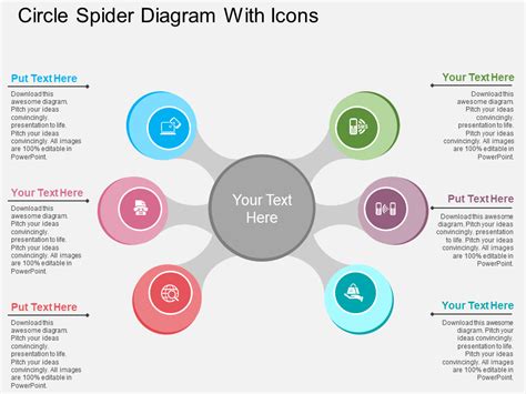 Top 7 Spider Diagram Templates With Examples And Samples