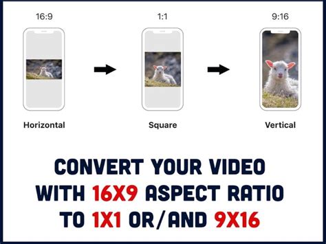 1x1 or 9x16 ratio from your 16x9 horizontal video upwork