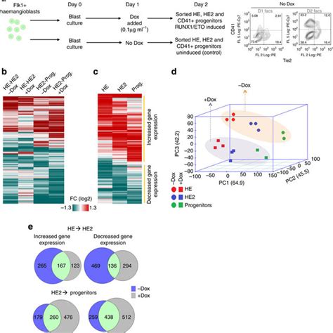 Model Of RUNX1 ETO Mediated Gene Expression Changes In Two Different