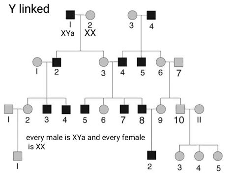 [solved] for each pedigree below determine the most likely mode of course hero