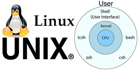 day 4 task basic linux shell scripting for devops engineers