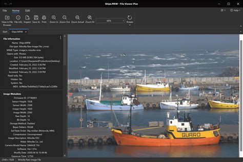 Open MRW Files With File Viewer Plus