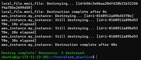 provisioning aws ec2 instances with terraform