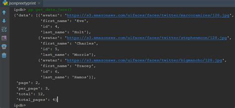 python json pretty print json formatting with python