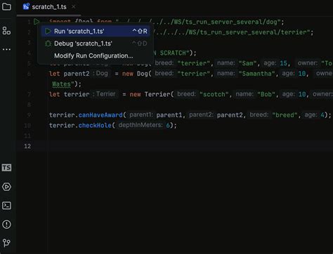 Running And Debugging Typescript Jetbrains Rider Documentation