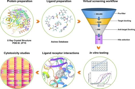 overall workflow of the structure based virtual screening based download scientific diagram