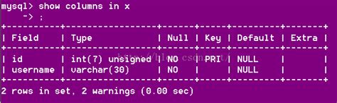 mysql的基本数据库操作命令 your database terenceeeeee的博客 csdn博客