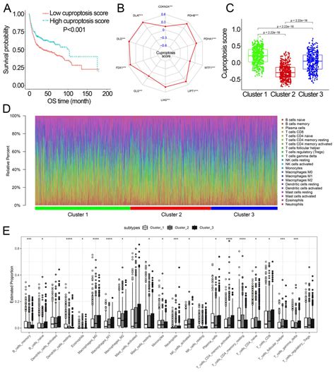 Molecular Subtypes Tumor Microenvironment Infiltration