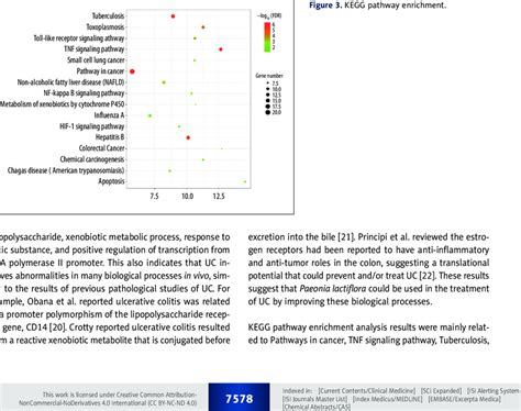 KEGG Functional Enrichment Analysis Of Common Targets Top 10