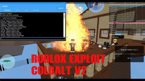 Patched Roblox Exploit Hack Colbalt V2 LUA And LUA C Executor YouTube