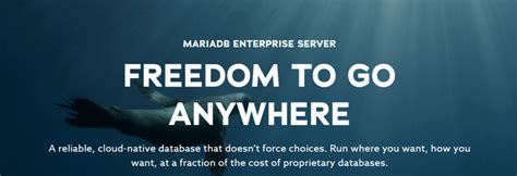 mariadb vs postgresql choosing the right database solution