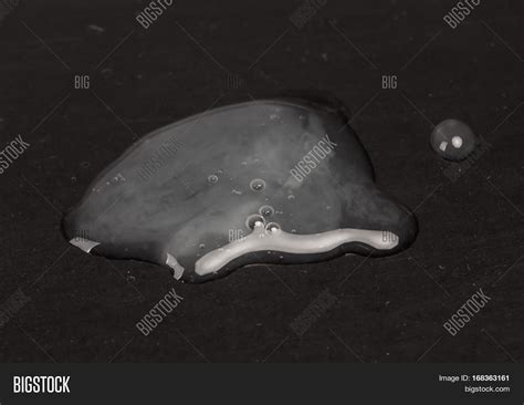 Real Sperm Puddle On Image And Photo Free Trial Bigstock