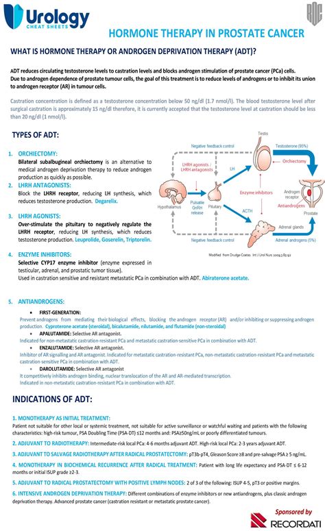 Hormone Therapy Androgen Deprivation In Prostate Cancer Urology Cheatsheets