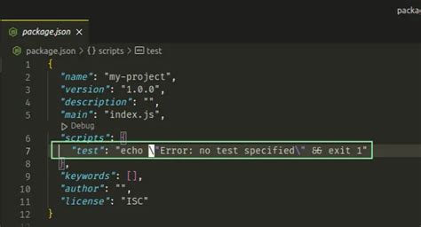 what is the npm init test command in a package json file bobbyhadz