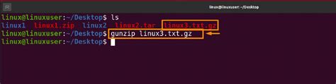 How To Unzip Files In Linux Terminal Linux Genie