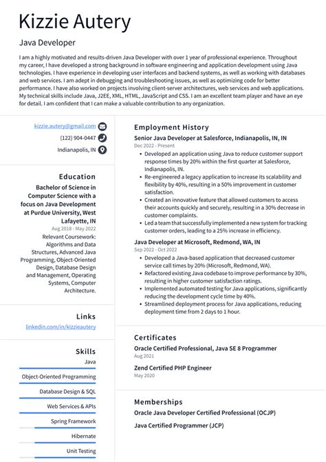 Netflix Java Developer Resume Examples ResumeCat
