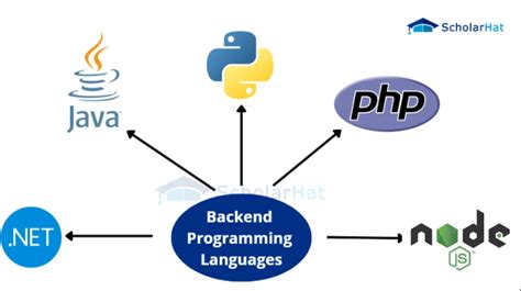 The Top Programming Languages For Web Development