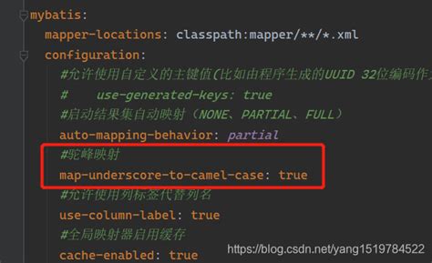 mybatis在springboot框架下实现自动驼峰映射和解决自动映射不生效的问题 springboot mybatis map underscore to camel case t csdn博客