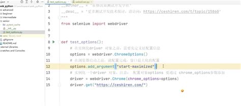 web自动化 option 常用操作headless无头浏览器 l4 学习笔记 测试人社区