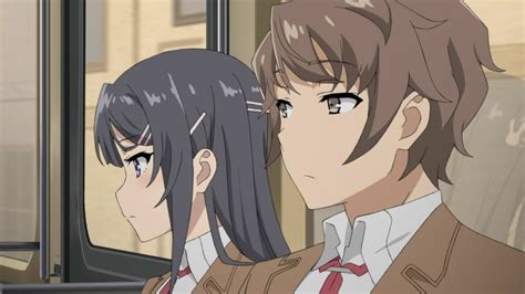 Download Blue Eyes Grey Hair Brown Eyes Brown Hair Sakuta Azusagawa Mai Sakurajima Anime Rascal