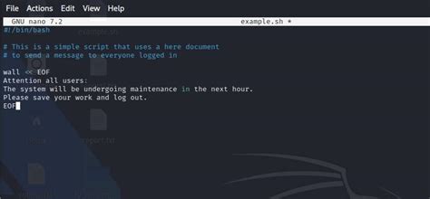 how to use here document in bash programming geeksforgeeks