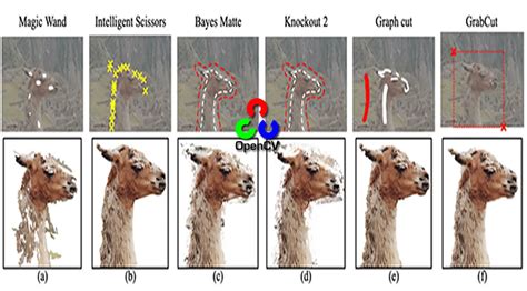 grabcut for automatic image segmentation opencv tutorial hot sex picture