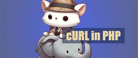 How To Use CURL In PHP DEV Community