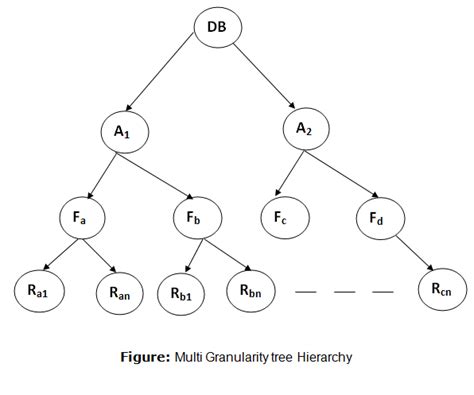 multiple granularity lemborco