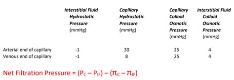 solved assume that the average filtration pressure for the