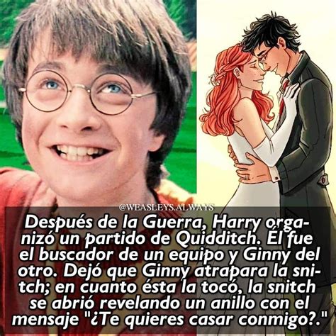 Pin En X Cosas En 2024 Libros De Harry Potter Harry Potter Gracioso Frases Romanticas De