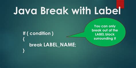 Java Break With Label Statement Tutorial ExamTray