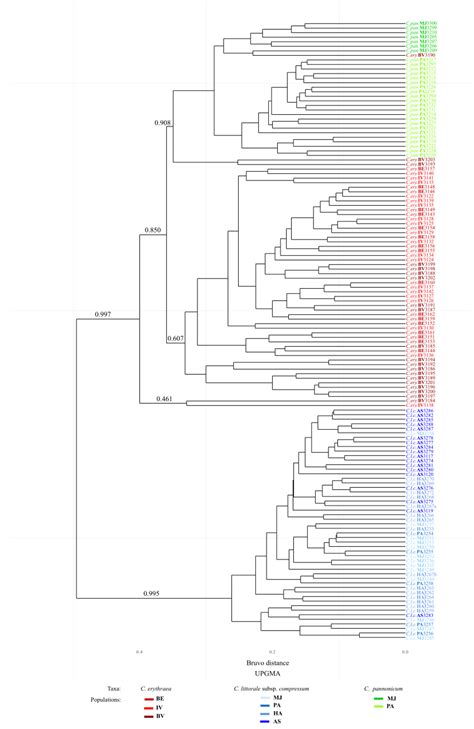 Graphical Presentation Of The Hierarchical Cluster Analysis HCA By