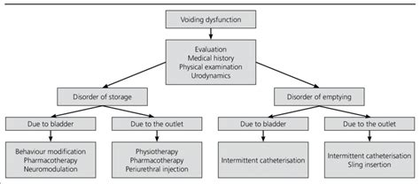 an algorithmic approach to treatment download scientific diagram