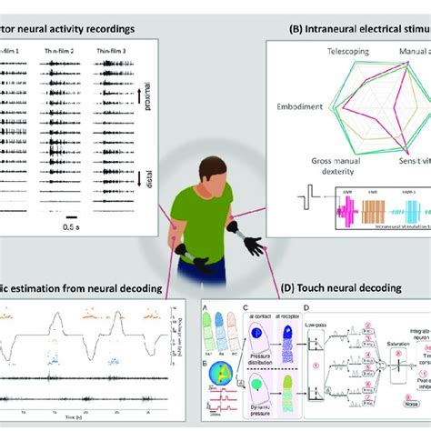 decoding and encoding of neural signals a neural motor activity download scientific diagram