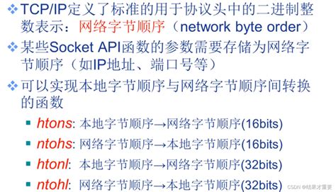 socket编程 应用编程接口（api） 套接字（及其函数介绍） socket api csdn博客