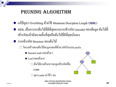 PPT Data Mining Classification Basic Concepts Decision Trees
