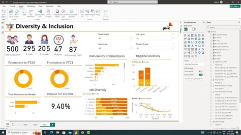Power BI PWC Virtual Internship Program Task 4 Diversity