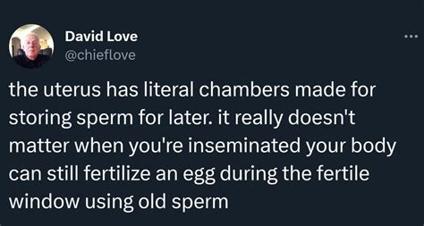 We Need Better Sex Education Rwhitepeopletwitter