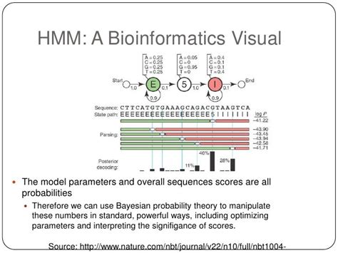 applying hidden markov models to bioinformatics